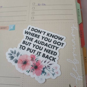 Dont Know Where You Got the Audacity but You Need to Put It Back Vinyl ...