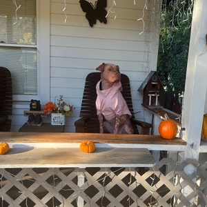 Pink Cotton Axolotl Salamander Face Mask - Etsy