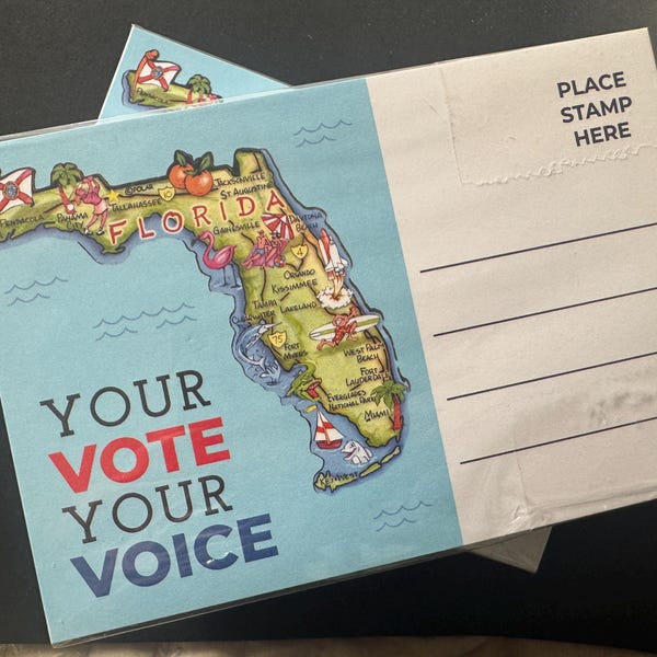 Voter Postcards Dont Just Vent Vote Patriotic United States Voting ...