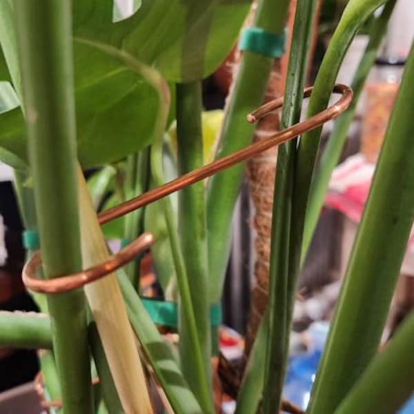 Plant Support Copper Hook, Stem Holder for Leaning Plants, Indoor ...