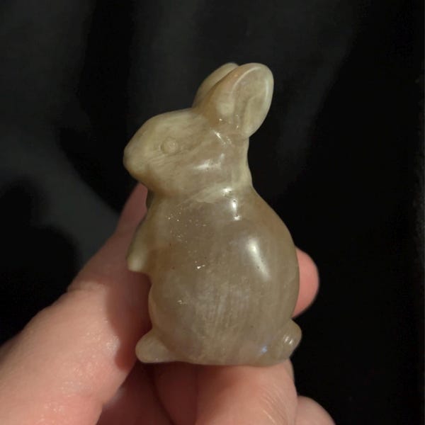 Bigger Black Obsidian Mouse Carvinghealing Crystalstone Mouse ...