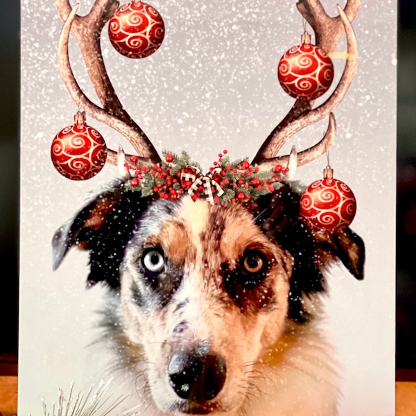 My Pet Reindeer, Pet Portrait From Photo, Digital Christmas Portrait ...