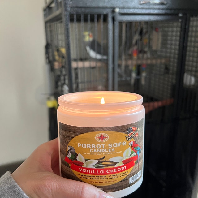 ParrotSafeCandles - Etsy