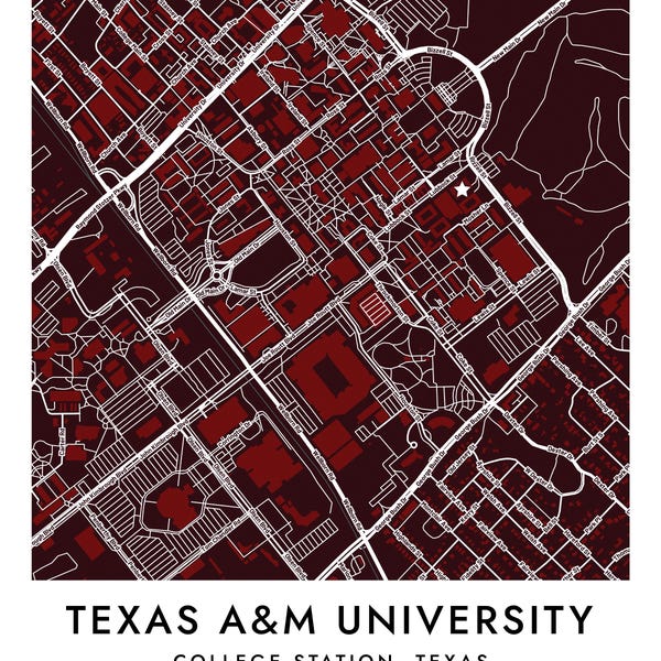 Custom University Map With Street Names, Campus Map Poster With Street ...