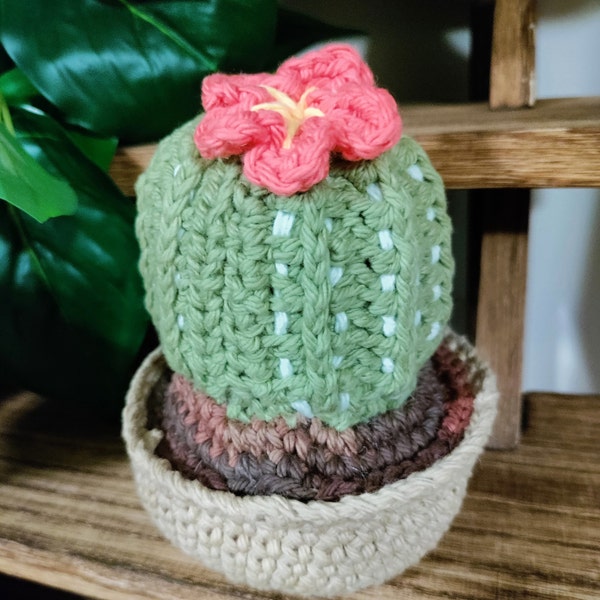 Barrel Cactus Crochet Pattern - Etsy