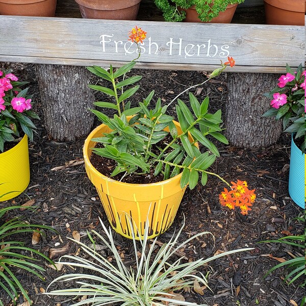 Alphabet Stencil #111 - Letters A to Z - Great for Making Your Own ...