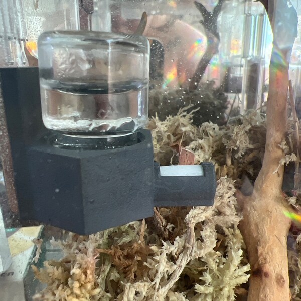 Wicking Water Feeder Trough for Small Pets Insects, Spiders, Tarantulas ...