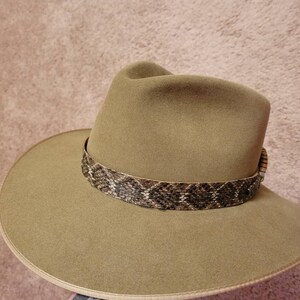 10 to 11 River Cooter Turtle Shell 1077-1011 - Etsy