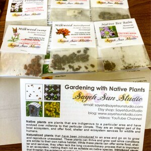 Wingstem Seeds - Etsy Canada