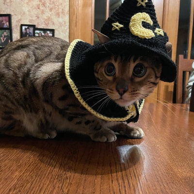 Wizard Pet Costume, Wizard Costume for Cat, Halloween Cat Hat, Wizard ...