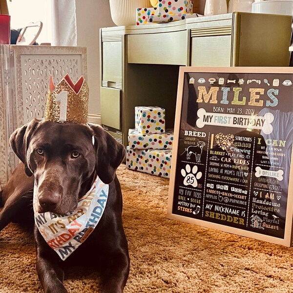 Dog First Birthday Chalkboard, Dog Birthday Sign, Dog Party, Pet 1st ...