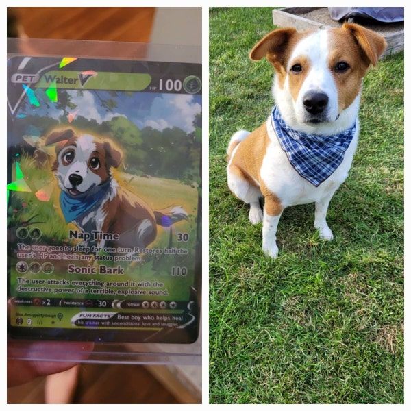 Custom Pokemon Card, Pet as Pokemon , Pokemon Card, Turn Your Pet Into ...