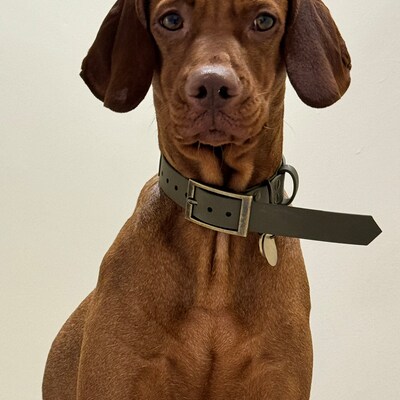 Grab Traffic Handle Lead 2 Colour Waterproof Biothane Dog Lead With ...