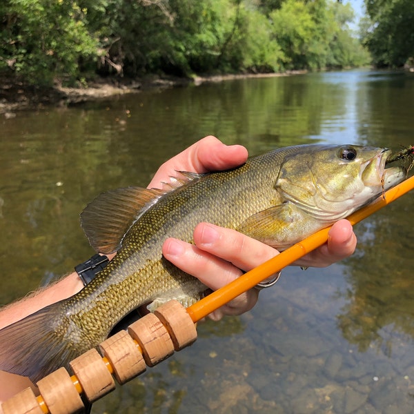 Tabory Snake Fly, 3 Each - Etsy