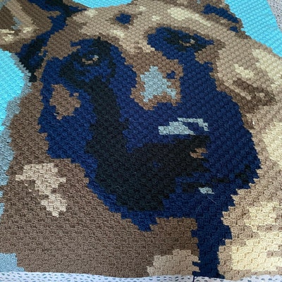 C2C Pit Bull Dog Crochet Pattern With Written Instructions - Etsy