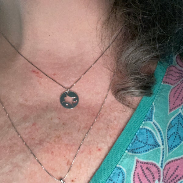 Cockroach Necklace - Cockroach Jewelry - Cockroach Gift - Sterling ...