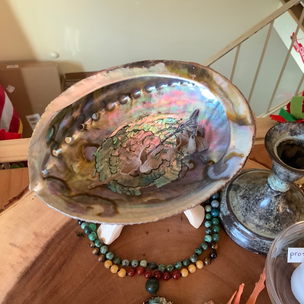 Abalone Shell 6-inch With Stand | Sustainably Collected - for Smudging ...
