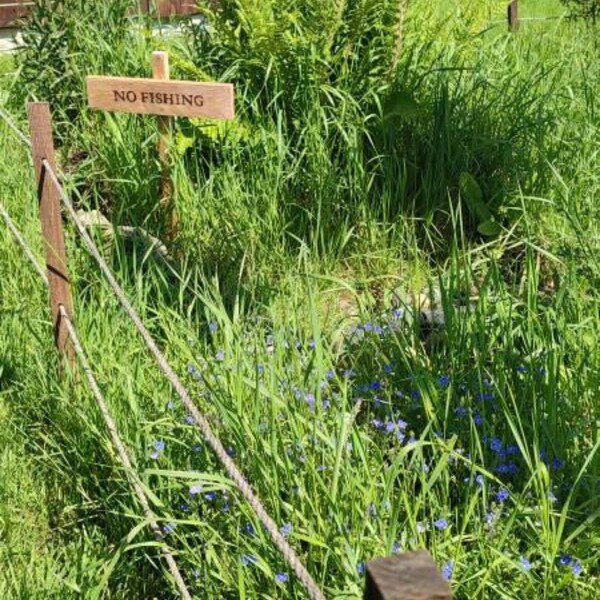 Wooden ‘veg Patch’ Garden Sign Hand Made Rustic Reclaimed Pyrography ...