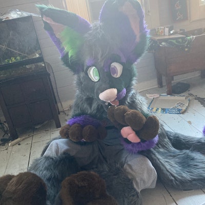 Protogen Furry Reference Sheet/template - Etsy