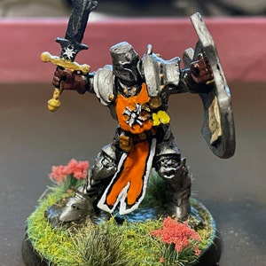 Pirate Painted Miniature, Warrior, Dungeons and Dragons, Dnd - Etsy