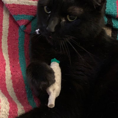 Cat Toys Felt Catnip Joints Set of 3 Available in - Etsy