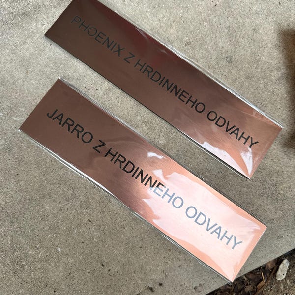 Personalized Office Name Plate, 2x8 or 2x10, Laser Engraved - Etsy