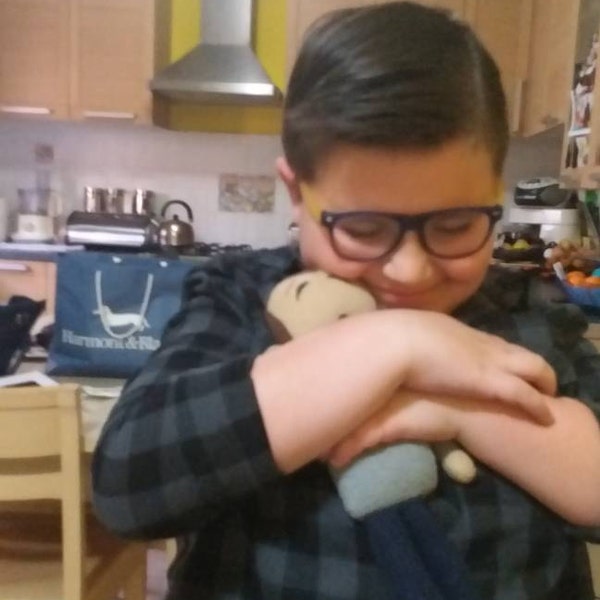 Principal of the Thing Plush, Baldi Plush, Baldi's Basics in Education ...