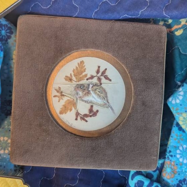 Vintage NTC Occupied Japan Porcelain Japanese Satsuma Moriage Plate - Etsy