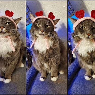 Crochet Pattern: Valentines Day Heart Headband for Cats With Ear Holes ...
