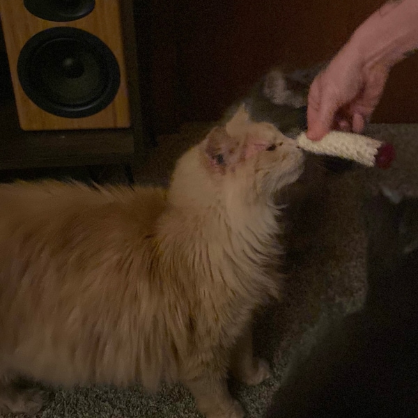 Crochet Catnip Doobie Toy, Novelty Cat Gag Gift - Etsy