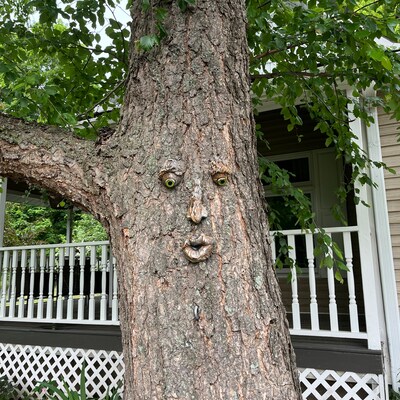 Forrest Stump Concrete Tree Face, Birthday Gifts, Gardeners Gift, Glass ...