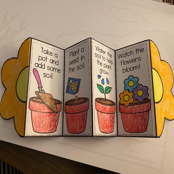 Animal Classification Sort Cut and Paste Lift the Flap Book Activity ...