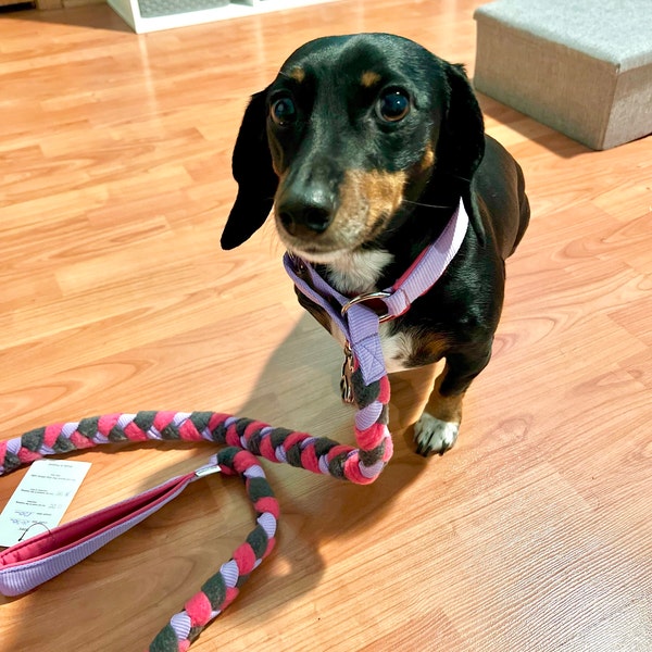 Braided Fleece Leash 3-in-1 – Perfect for Agility Starts - Etsy