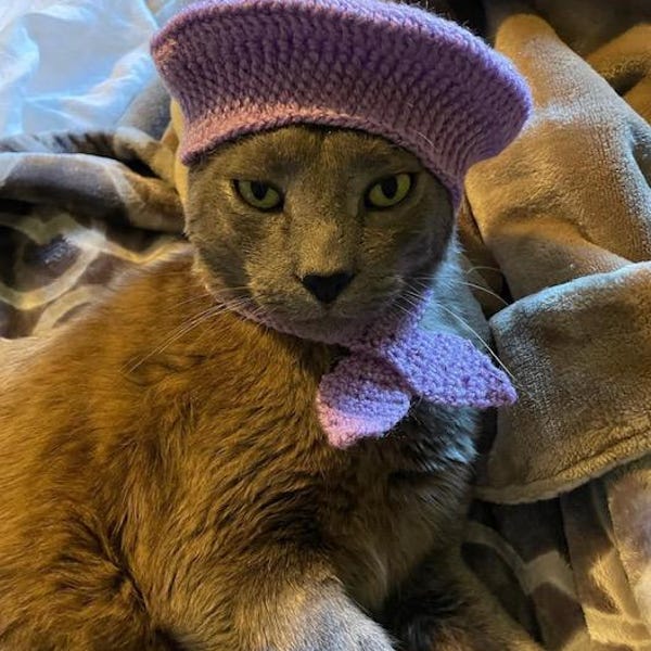 Little Red Riding Hood Cat Costume, Halloween Pet Costume, Cat Hoodie ...