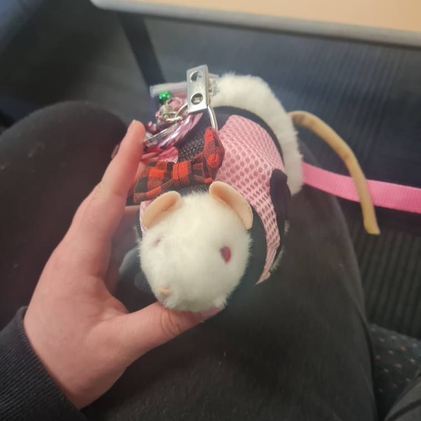 ESSA White Rat Emotional Support Plush Stuffed Animal Personalized Gift ...