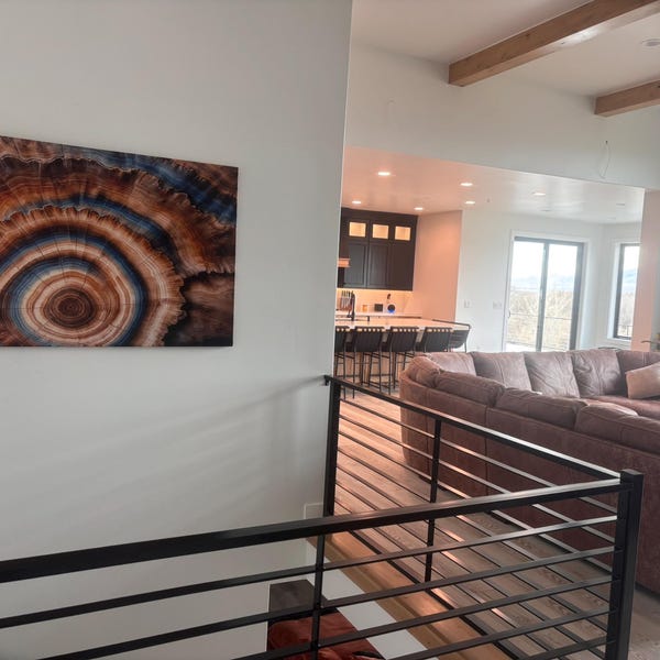 Tree Rings Canvas Wall Art Elegant Natural Wall Art Great Design ...