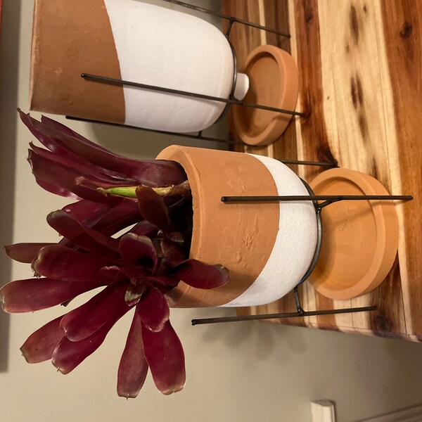 11" Wood Cake Stand, Log Cake Stand, Tree Bark Cake Stand, Tree Slice ...