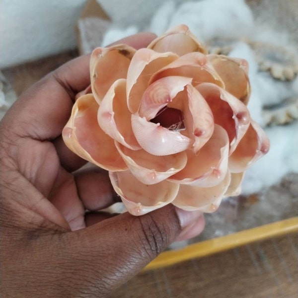 3 Colorful Sea Shell Flowers Beach Wedding Decor, Seashell Flowers Coastal Home Decor, Handmade ...