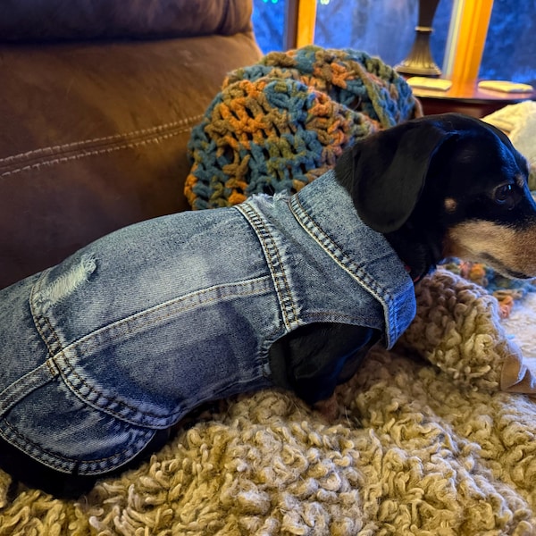 Dog Denim Jacket, Custom Dog Denim Vest, Personalized Dog Jean Jacket ...