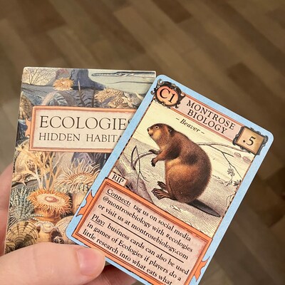 Ecologies: Hidden Habitats Gameplay Inspired by Nature Sequel and ...