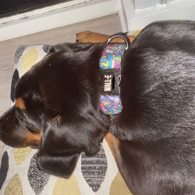 Personalized Laser Engraved Doodle Collar, Quick Release Metal Buckle ...