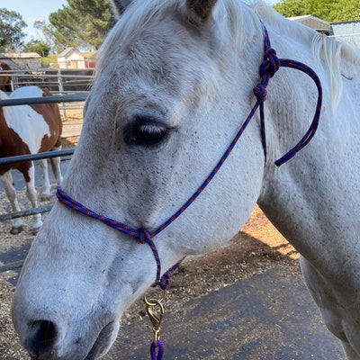 Braided Neck Rope Bridleless Neck Rope Paracord Braided Neck Rope ...