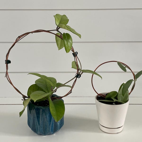 Plant Trellis Stake: Copper Garden Support - Indoor & Outdoor Use - Etsy