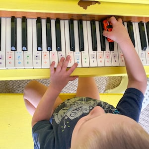 Piano and Keyboard Note Chart, Use Behind the Keys, Ideal Visual Tool ...