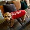 Customizable Pet Shirt: Create a Unique Look for Your Pet Personalized ...