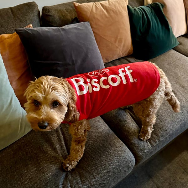 Customizable Pet Shirt: Create a Unique Look for Your Pet Personalized ...