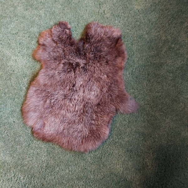 Brown Rabbit Hide One Average Natural Rabbit Fur No. 240907-EE - Etsy