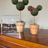 Topiary - Mickey & Minnie Topiaries for Magic to Home, Wedding, Mad Tea ...