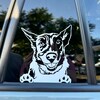 Pet Sticker/dog Car Decal/ Gift for Pet Lover/gift for Pet - Etsy