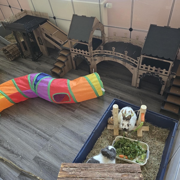 Elegant Bunny Castle With Twin Towers: Two-story White Pink Palace ...